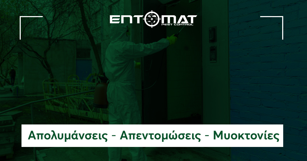 Απεντόμωση & Απολύμανση Ψύλλων - Θεσσαλονίκη | ΕΝΤΟΜΑΤ